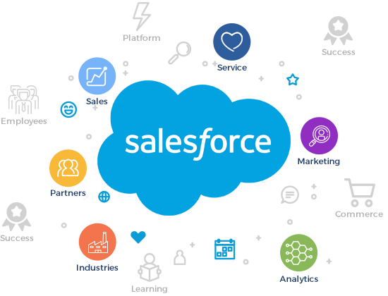 Salesforce – Orbus International